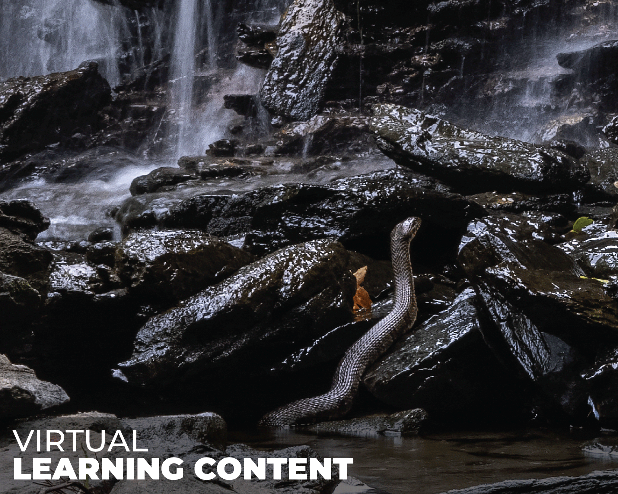 N.C. Youth Outdoor Engagement Commission