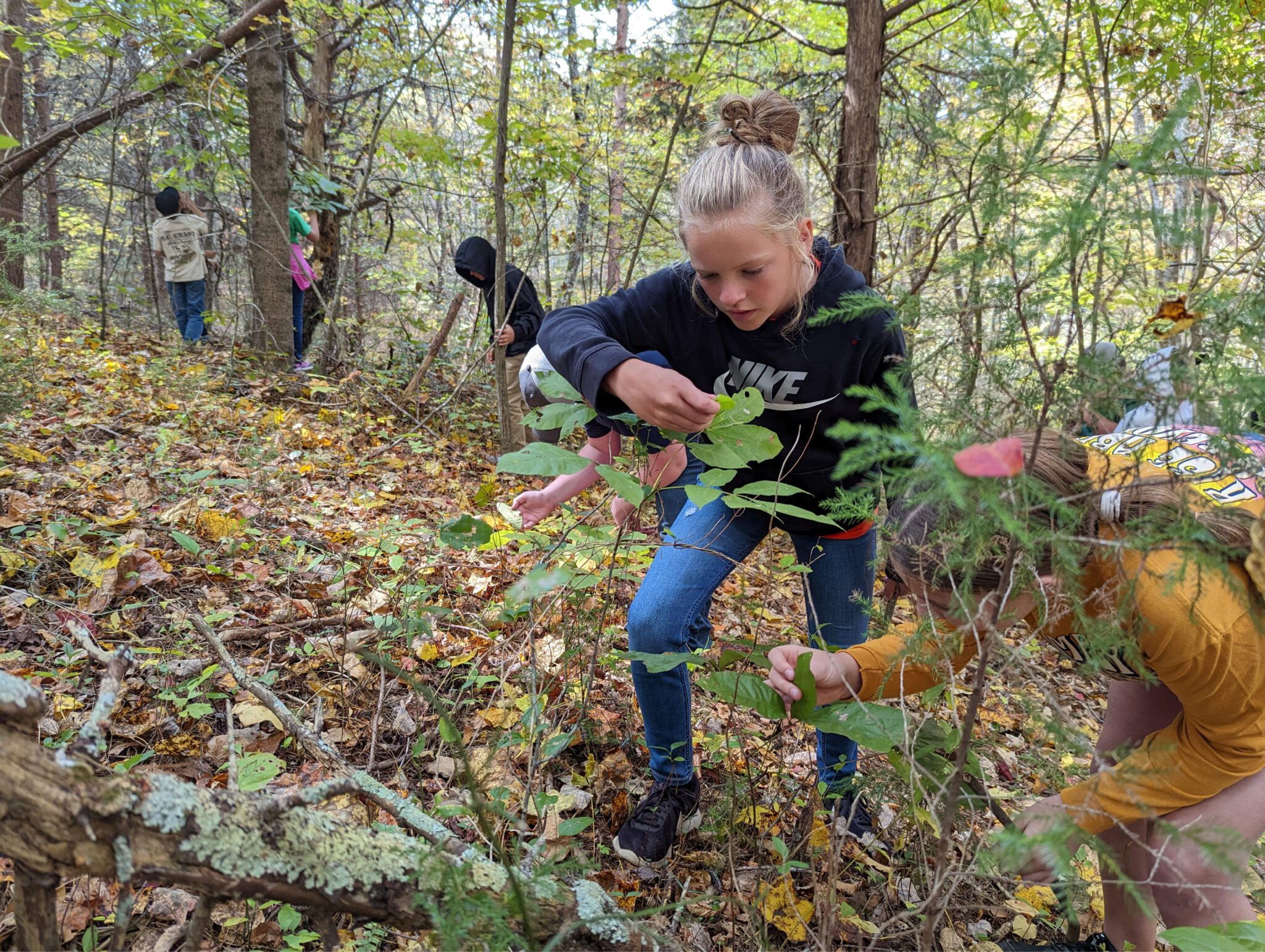 N.C. Youth Outdoor Engagement Commission